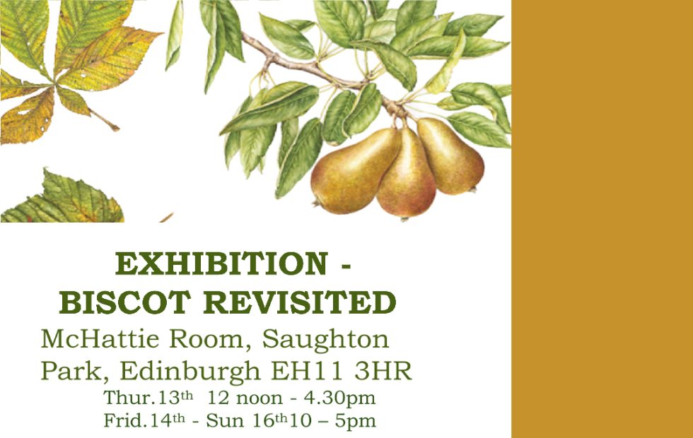 BISCOT REVISITED 2006 – 2019 | Edinburgh Society of Botanical Artists